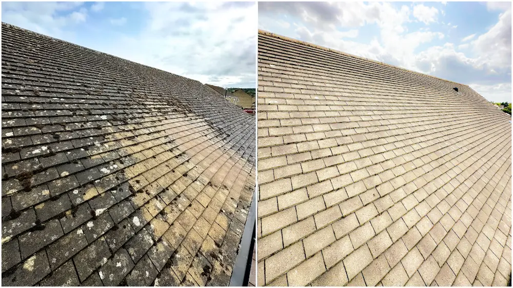 Yeti Clean | Gutter & Roof Cleaning Services